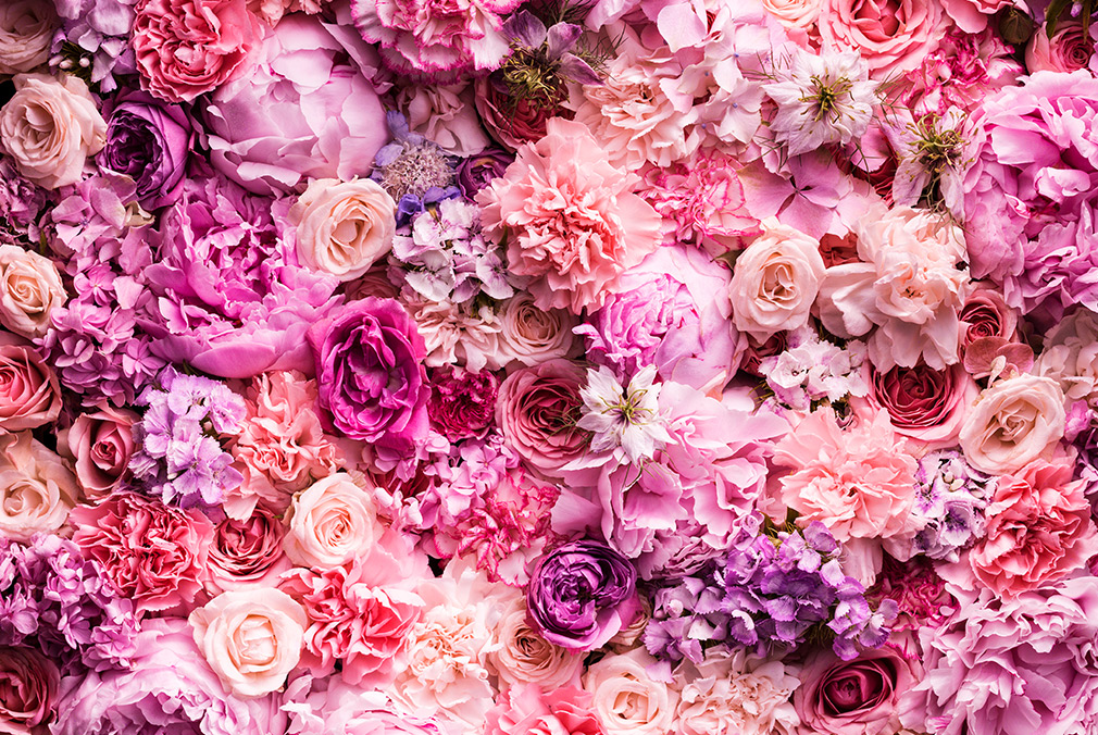 Fleur's - Find your Spa